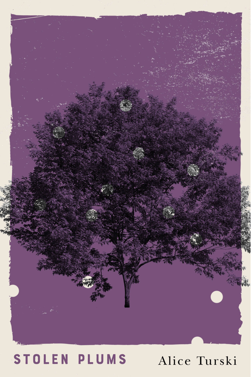 Vehicule Press – Award-winning poetry, fiction, essays, translations ...